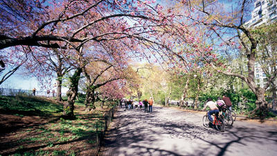 Prepare to swoon at these 20 beautiful photos of NYC in spring