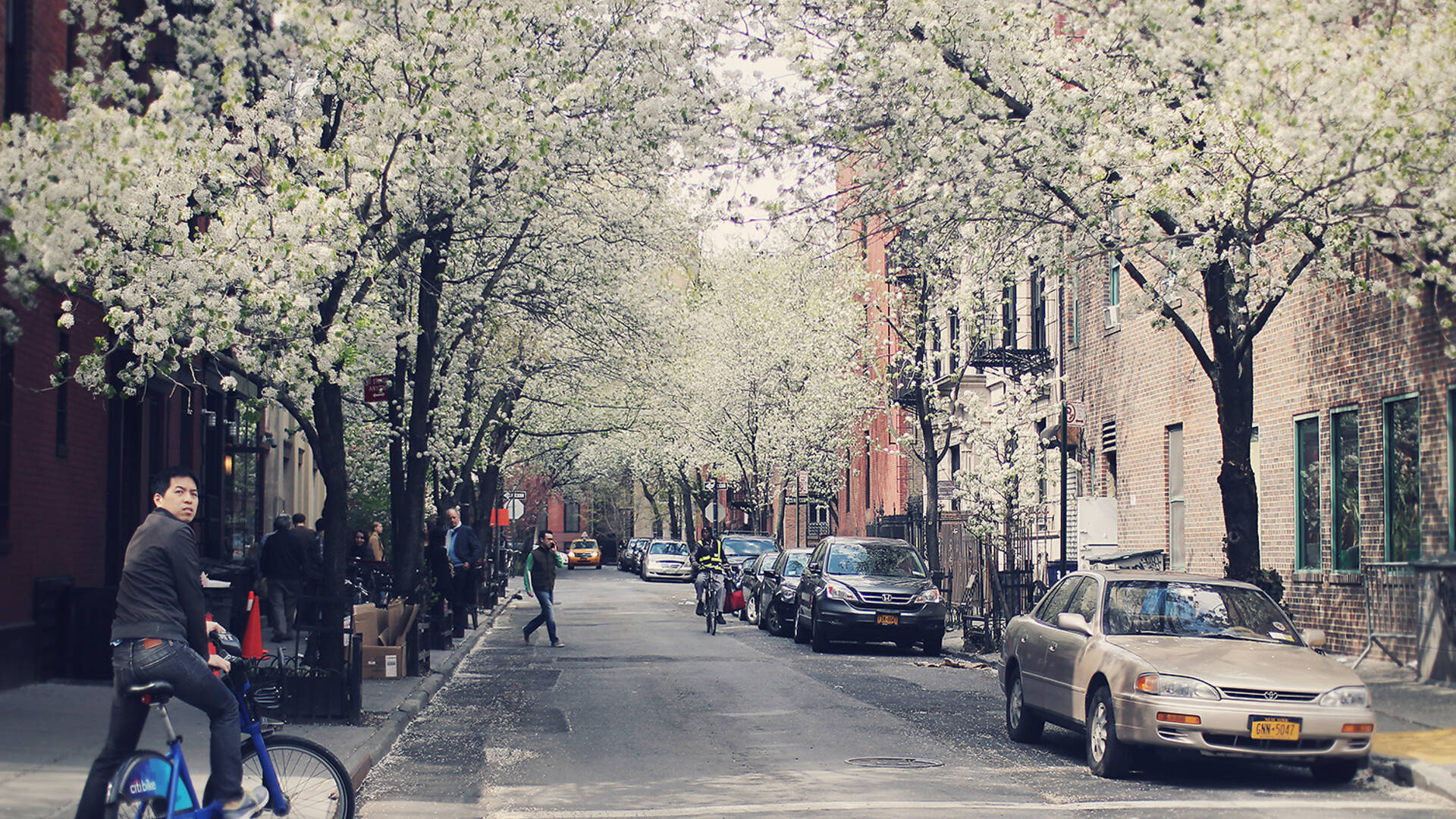 Prepare to swoon at these 20 beautiful photos of NYC in spring