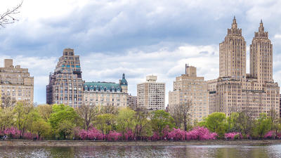 Prepare to swoon at these 20 beautiful photos of NYC in spring