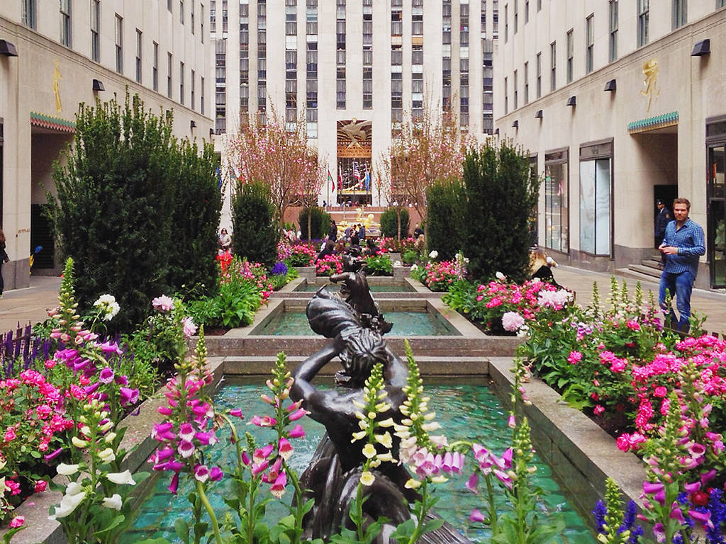 Prepare to swoon at these 20 beautiful photos of NYC in spring