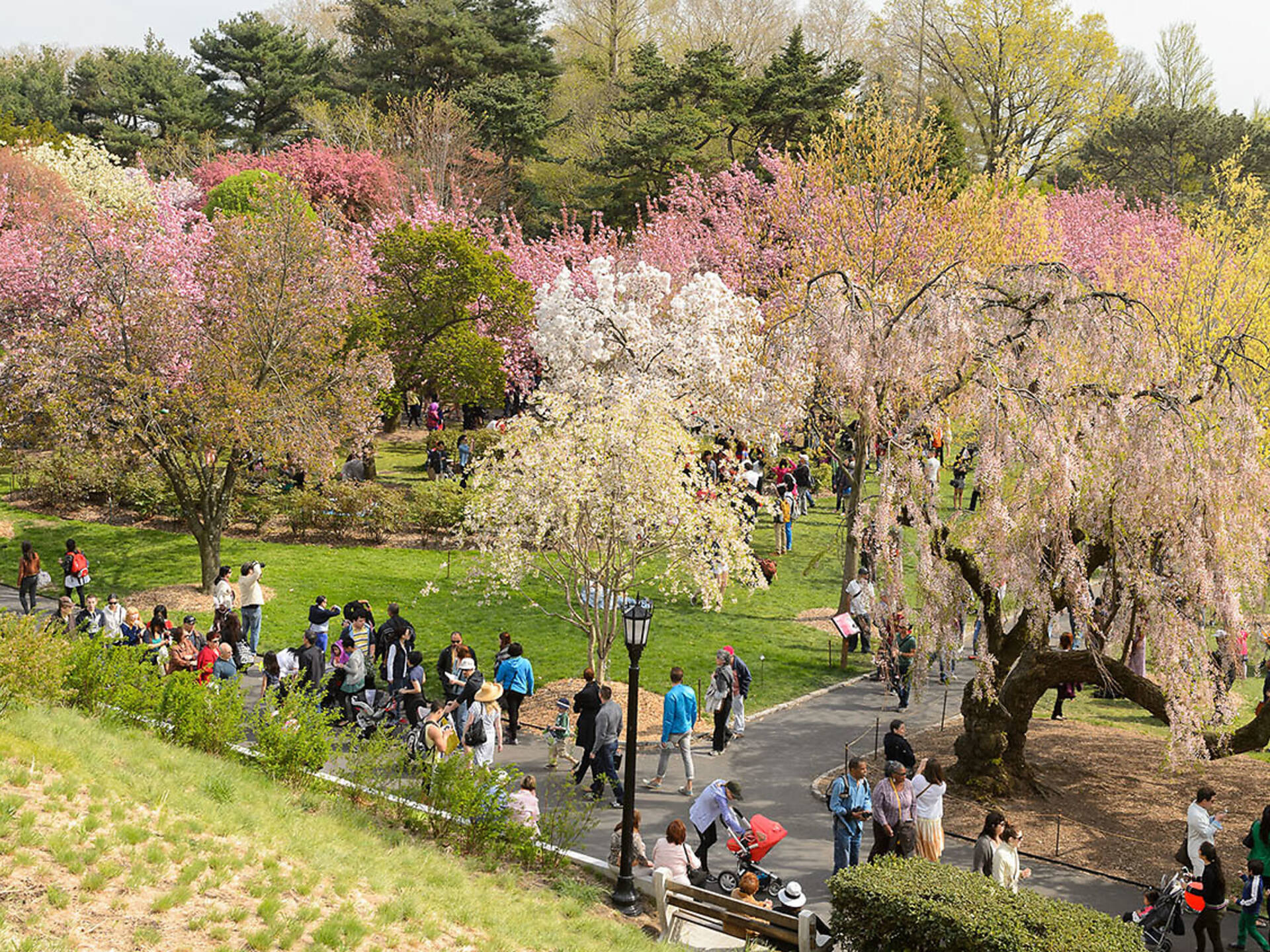 Prepare to swoon at these 20 beautiful photos of NYC in spring
