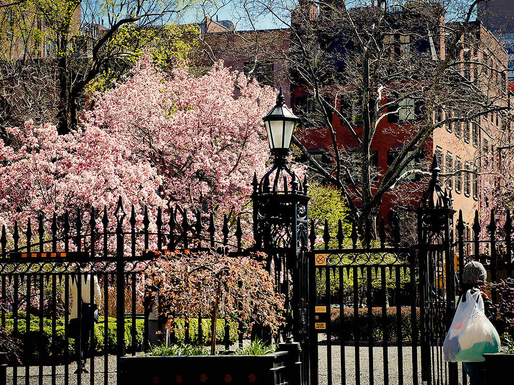 Prepare to swoon at these 20 beautiful photos of NYC in spring