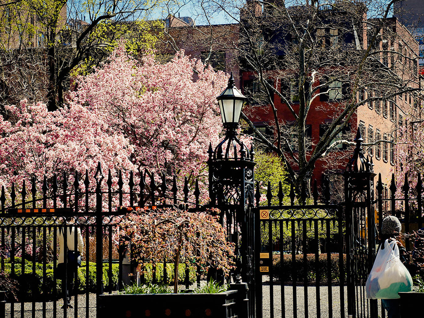 Prepare to swoon at these 20 beautiful photos of NYC in spring