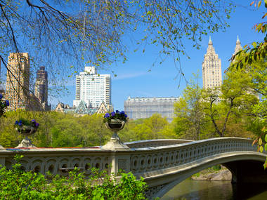 Prepare to swoon at these 20 beautiful photos of NYC in spring