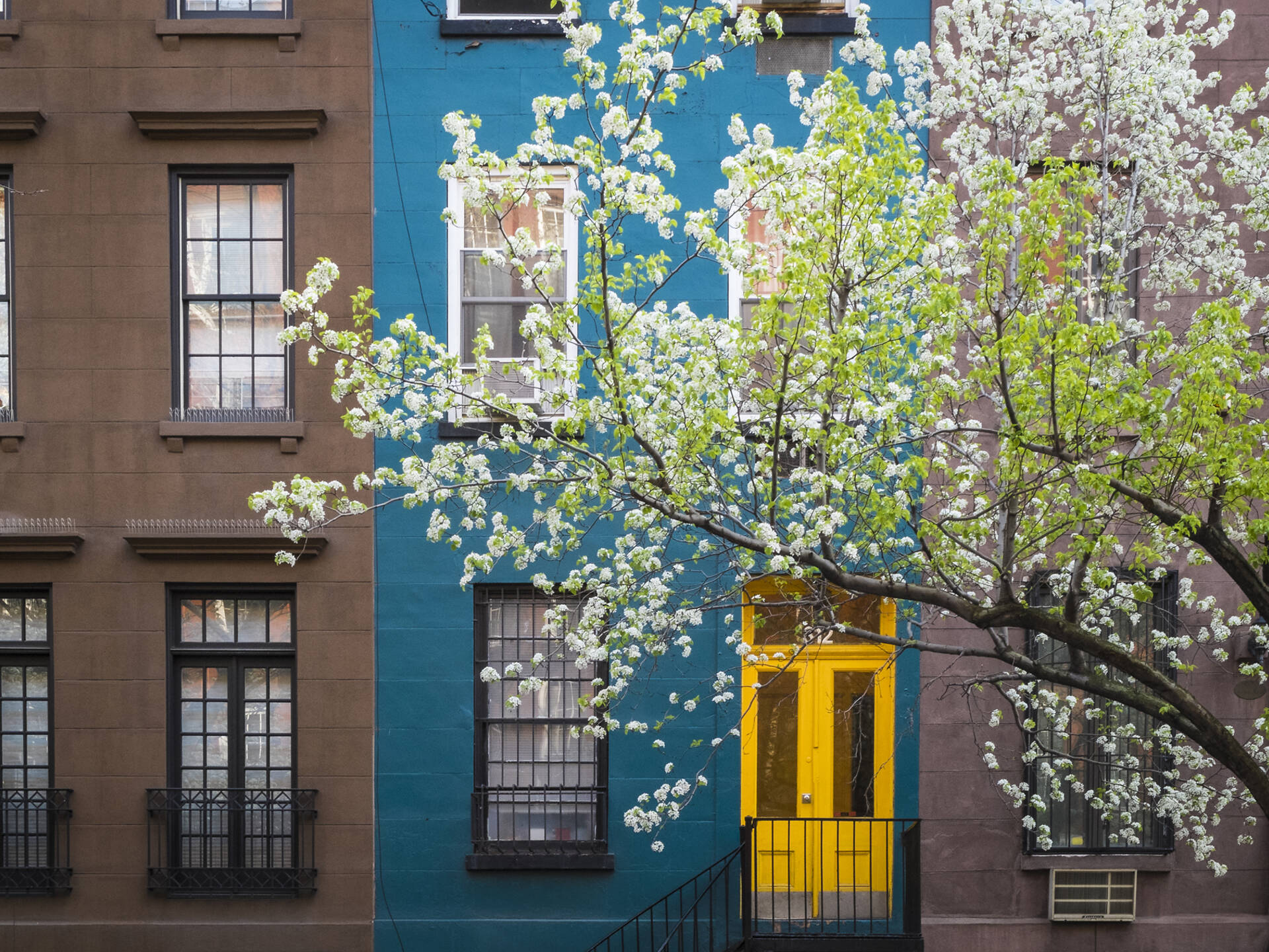 Prepare to swoon at these 20 beautiful photos of NYC in spring