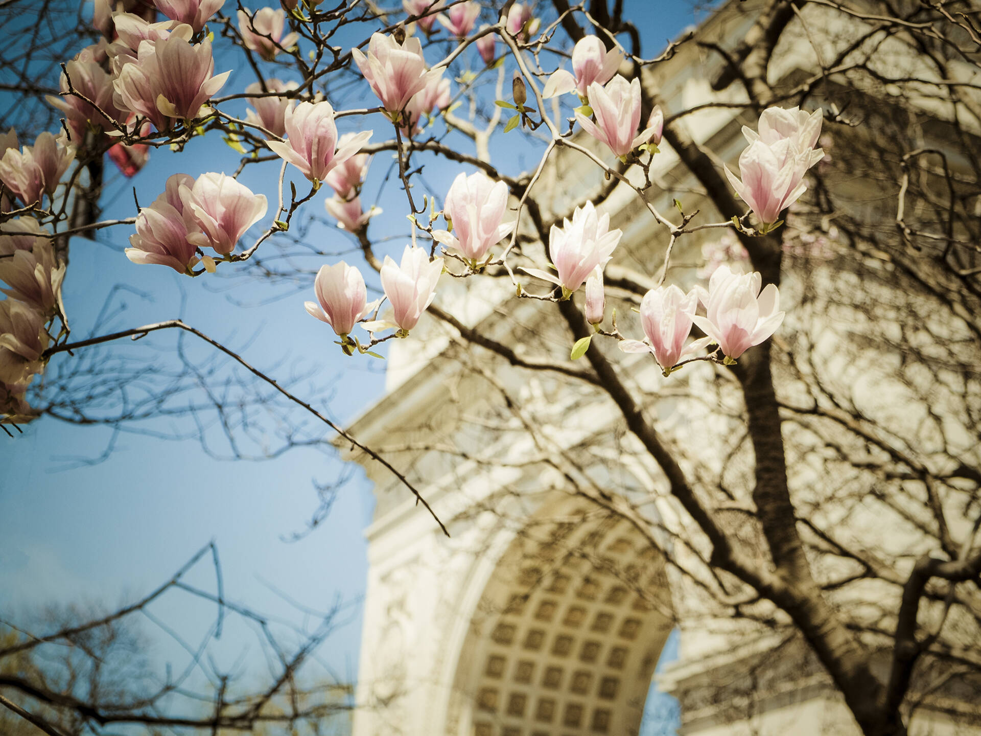 Prepare to swoon at these 20 beautiful photos of NYC in spring