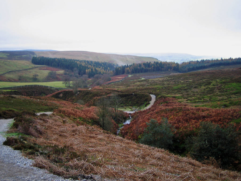 21 photos of yorkshire moors - things to do in Leeds