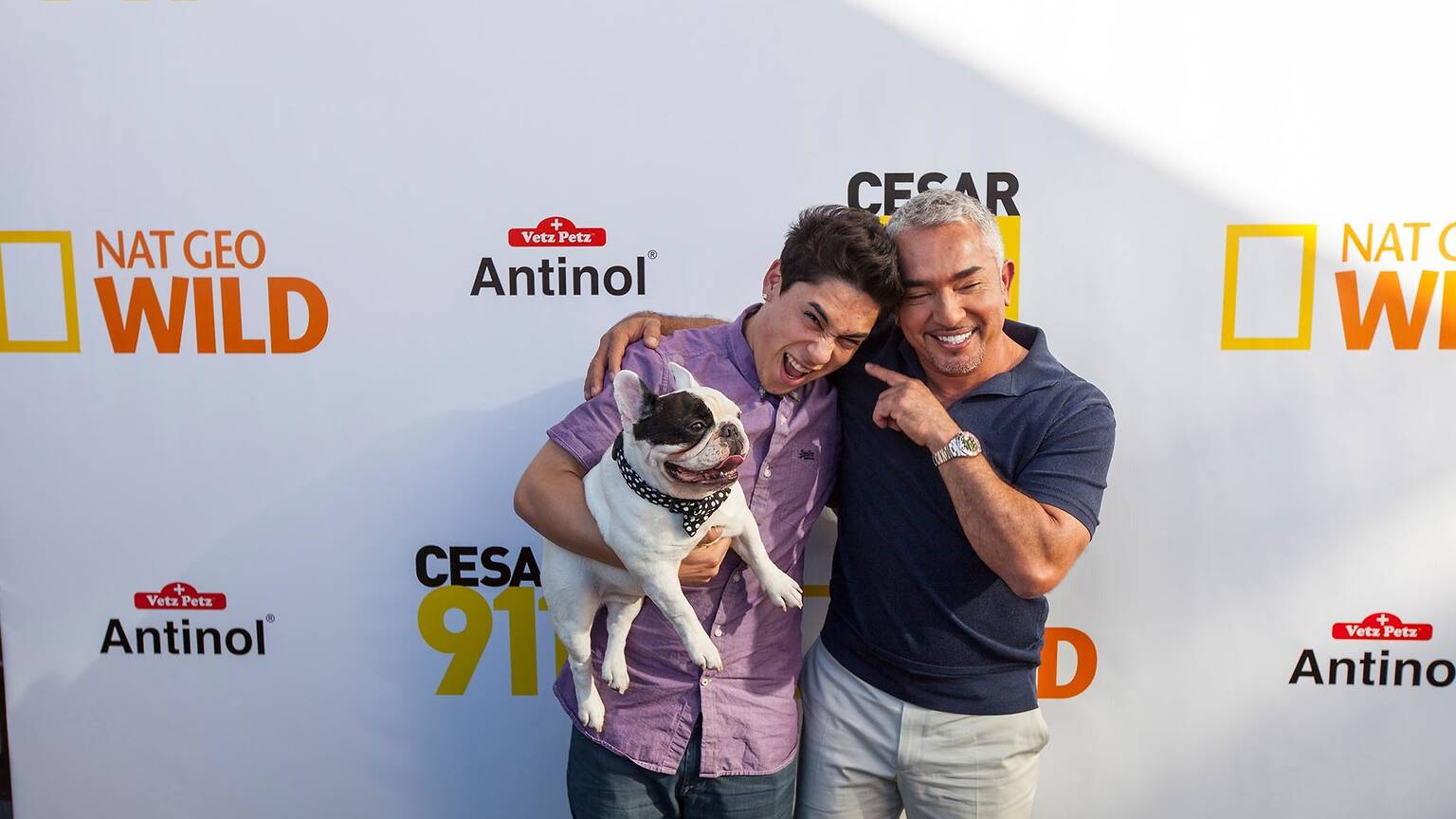 The cutest dog celebrities at the Cesar 911 premiere party