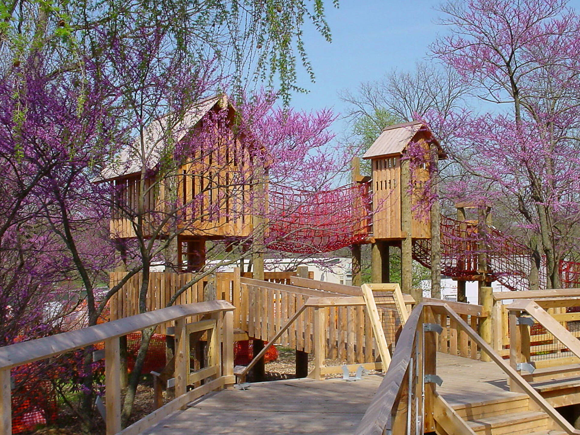 Your guide to viewing spring flowers in Chicago