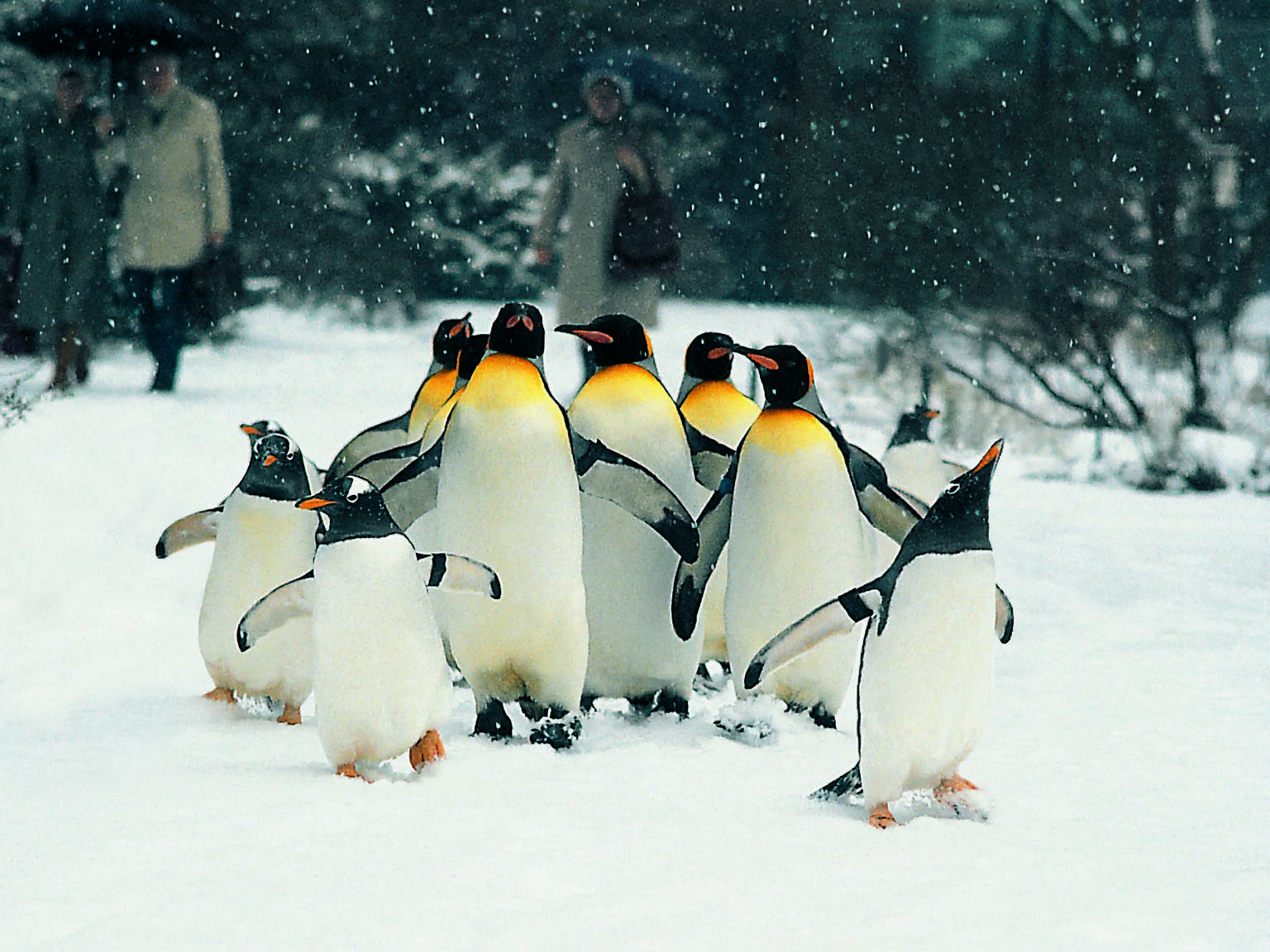 Basel city guide – Food, bars, things to do – Time Out