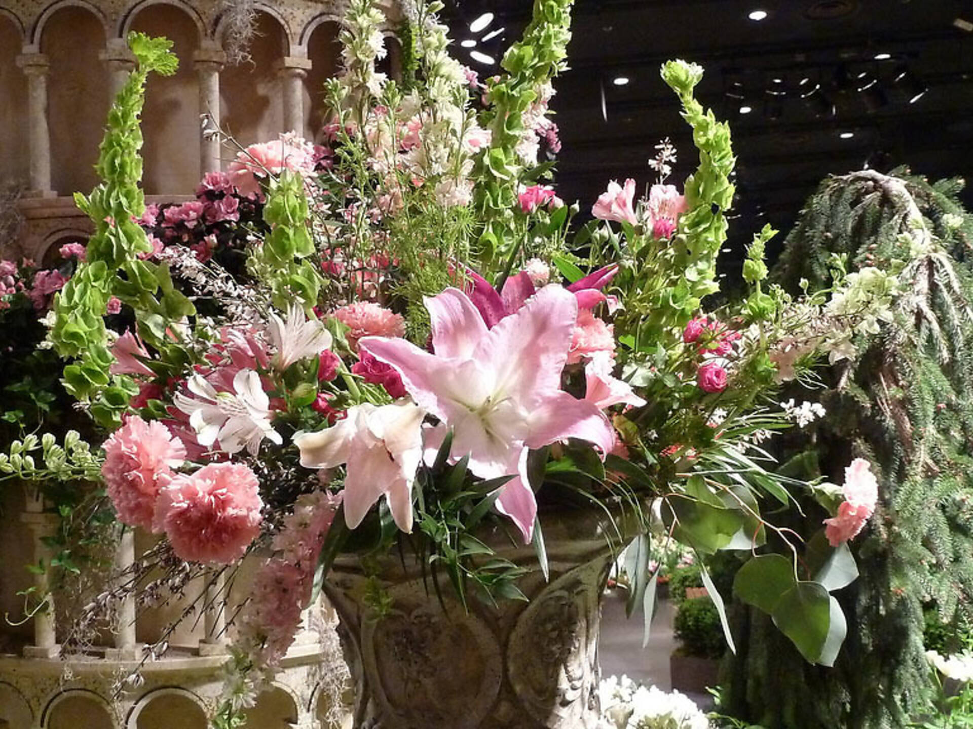 Get ready for Macy's Flower Show with these beautiful photos
