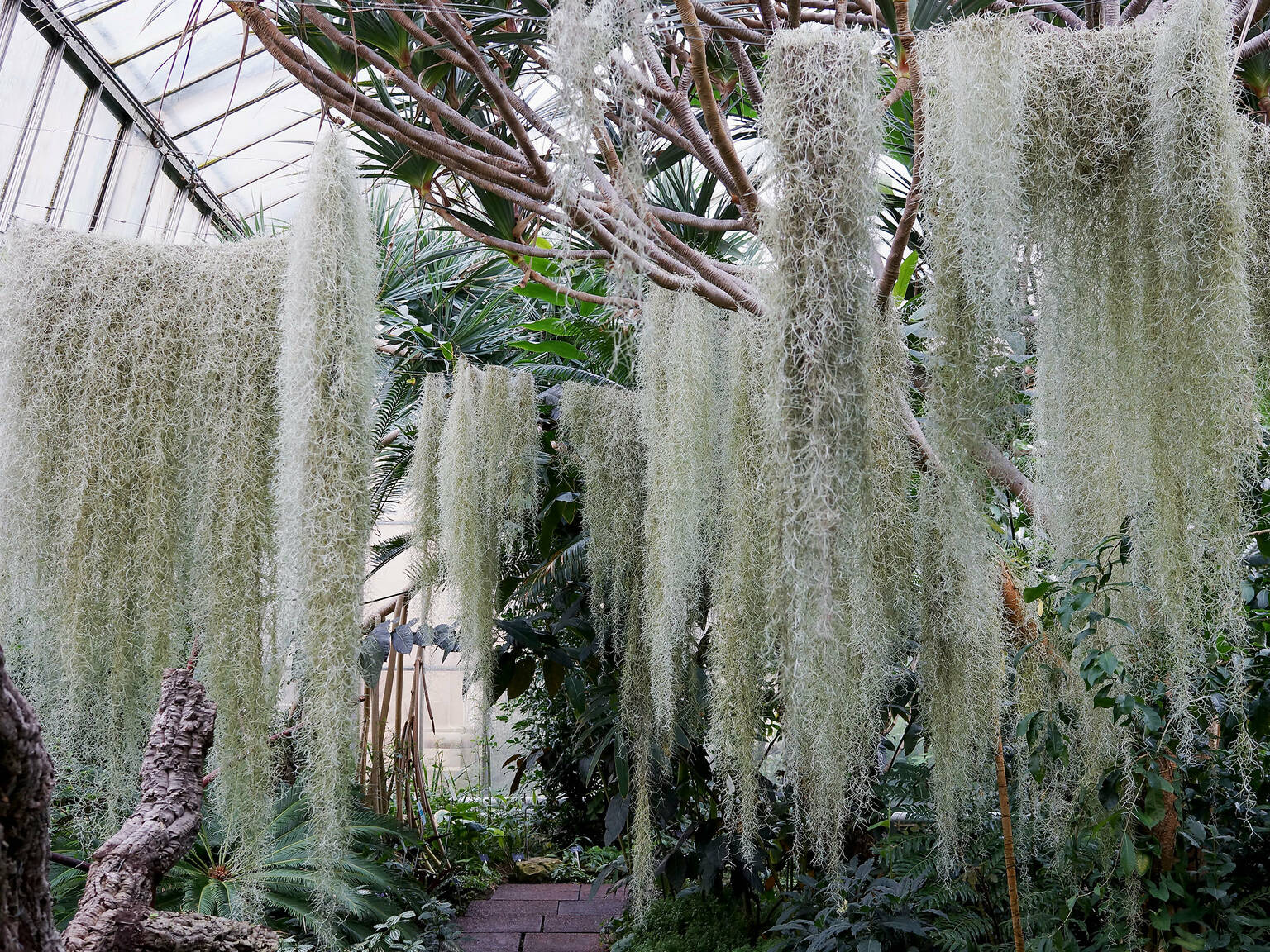 Royal Botanic Gardens Edinburgh photo gallery