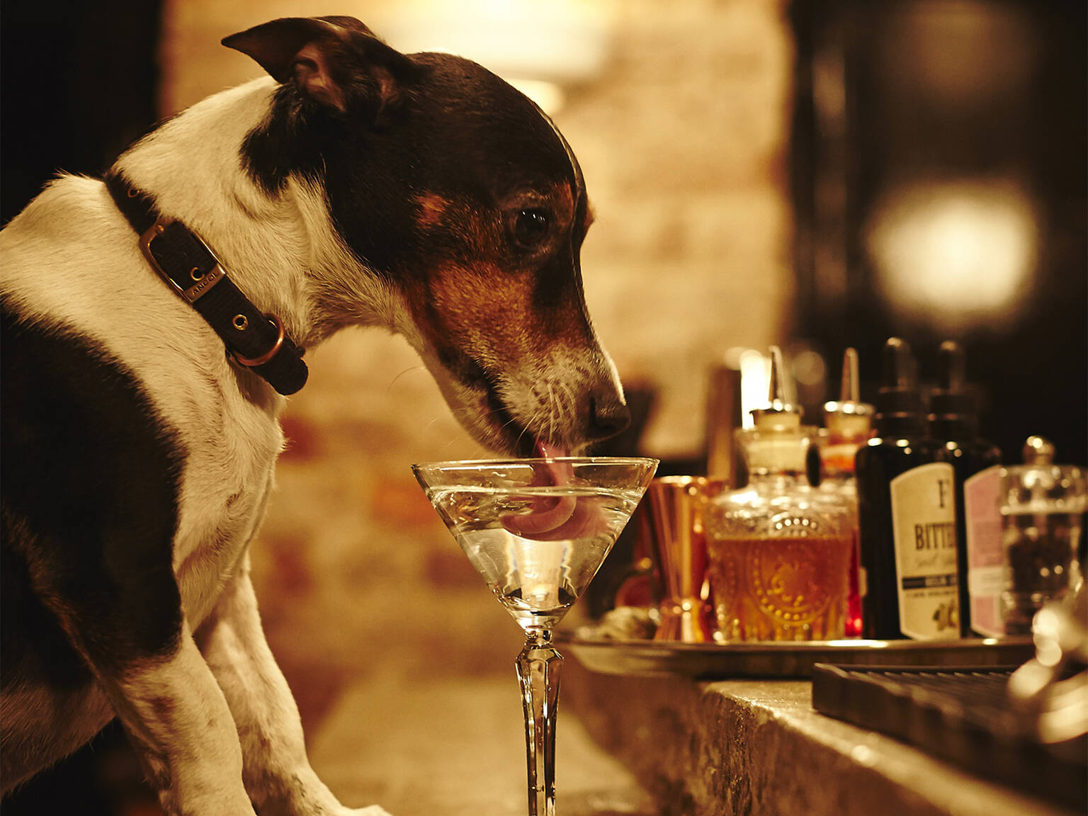 Quiet bars in London for a peaceful drink