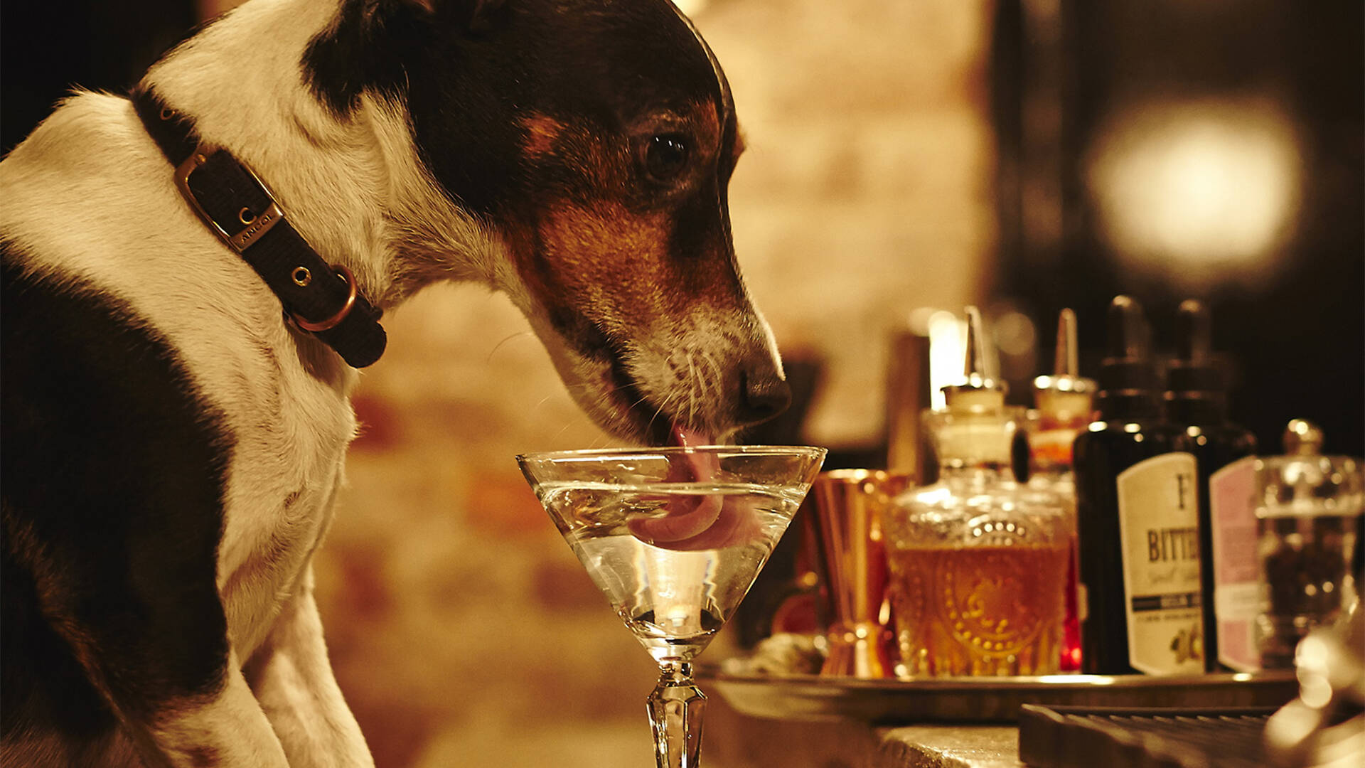 The Vault, Soho: Time Out London