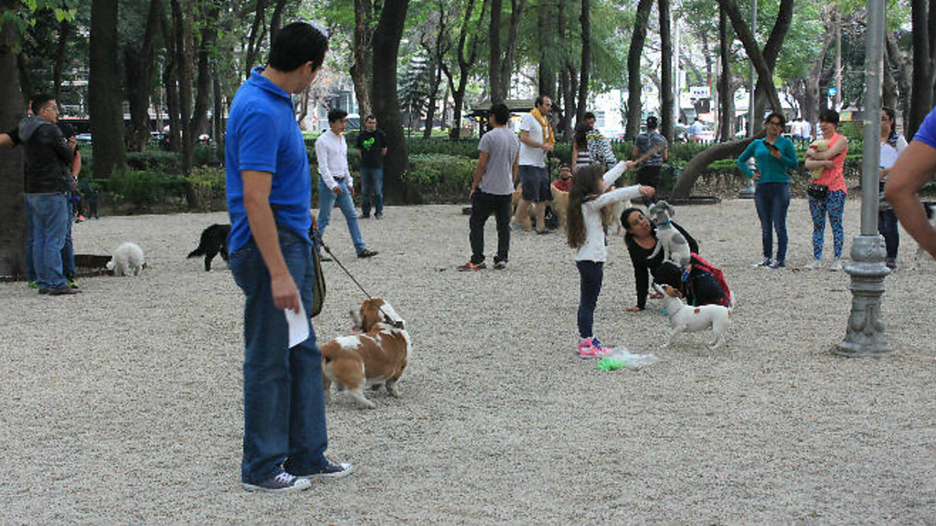 Los mejores parques para perros en la Ciudad de México
