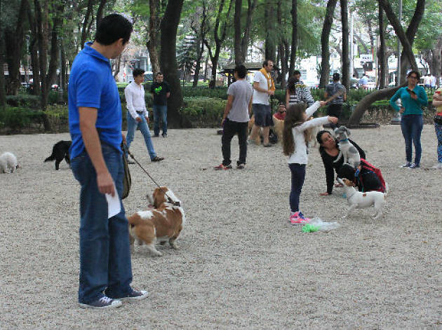 Los mejores parques para perros en la Ciudad de México