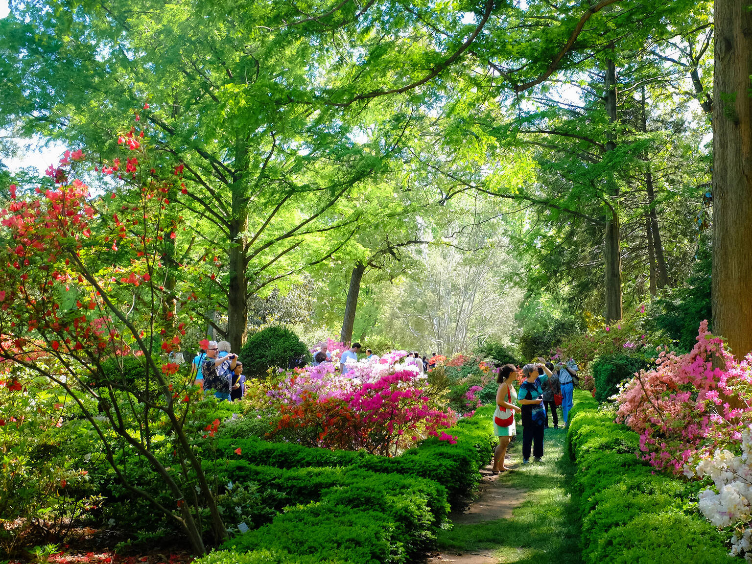 Washington, DC parks with green spaces to picnic, relax and get sun