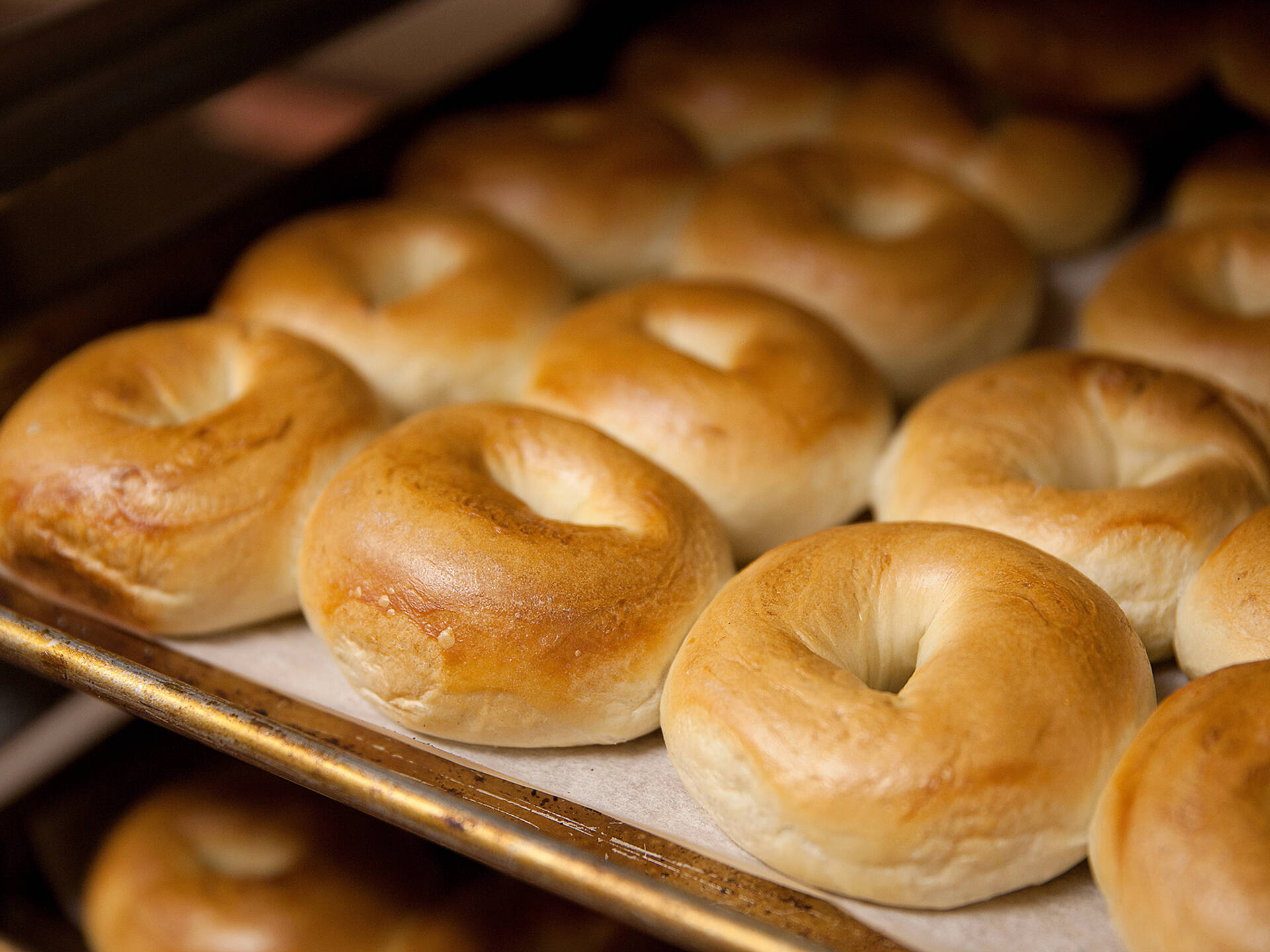 The Best Bagels in Chicago