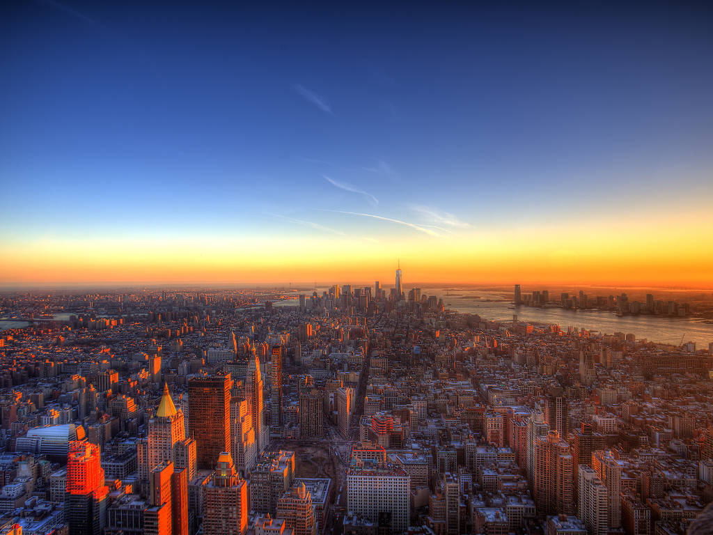 12 Awesome Things To Do In The Bronx Like Visiting The NYBG