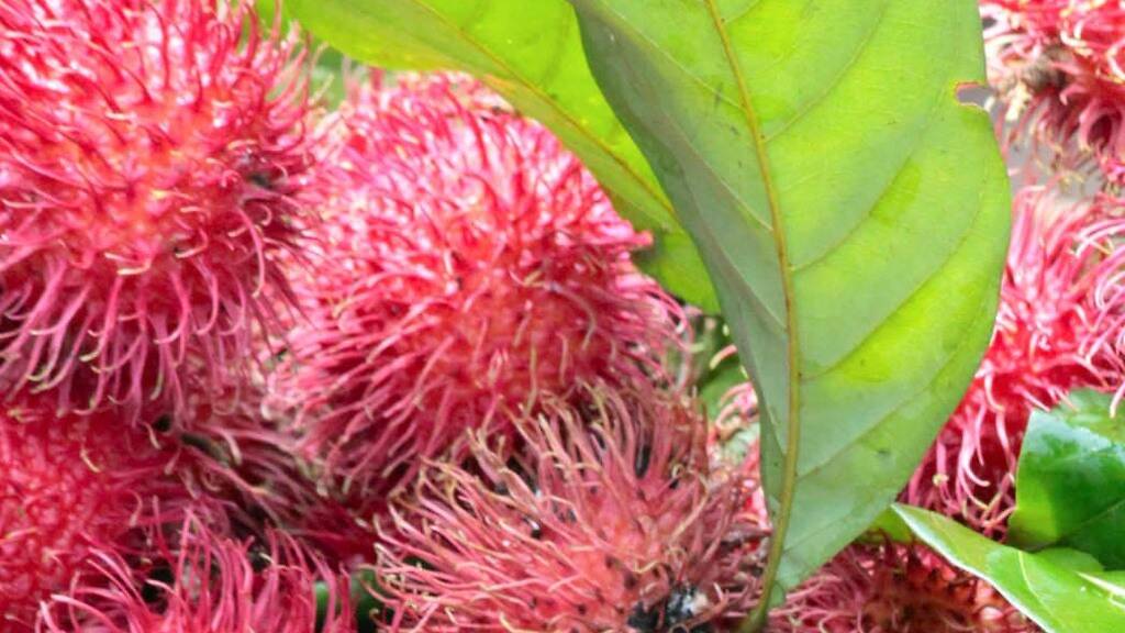 Sri Lankan Fruits You Need To Try