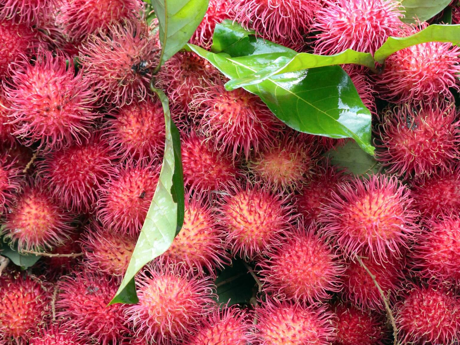 Sri Lankan Fruits You Need To Try
