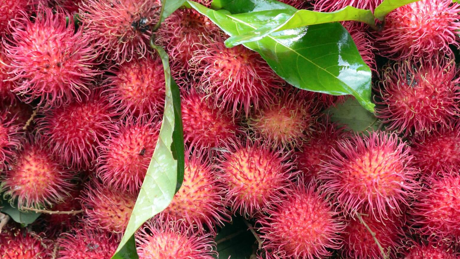 Sri Lankan Fruits You Need To Try