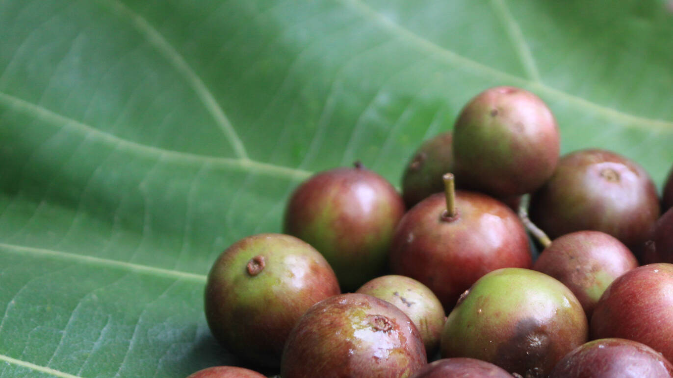 Sri Lankan Fruits You Need To Try