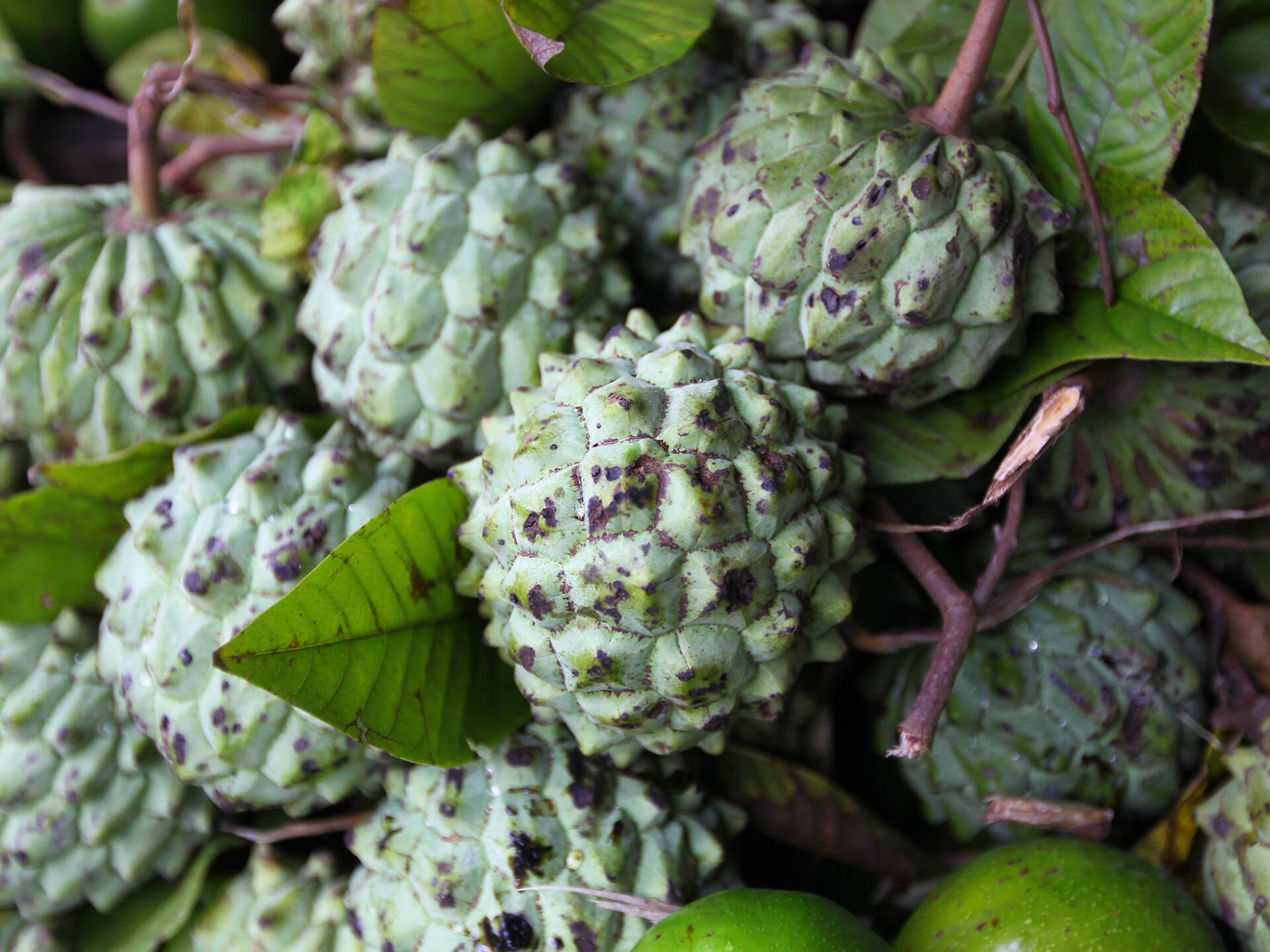 Sri Lankan Fruits You Need To Try