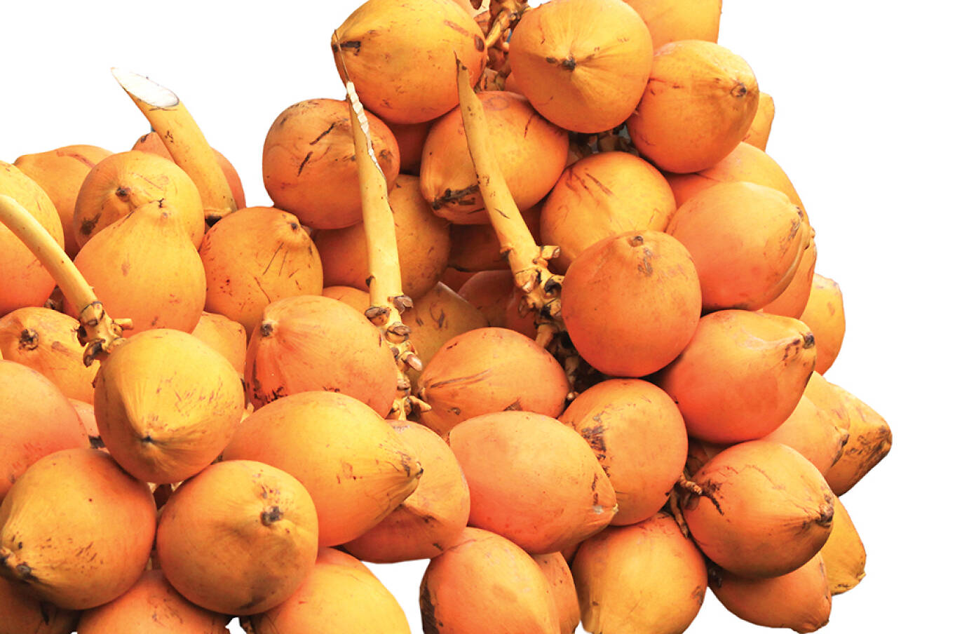 Sri Lankan Fruits You Need To Try