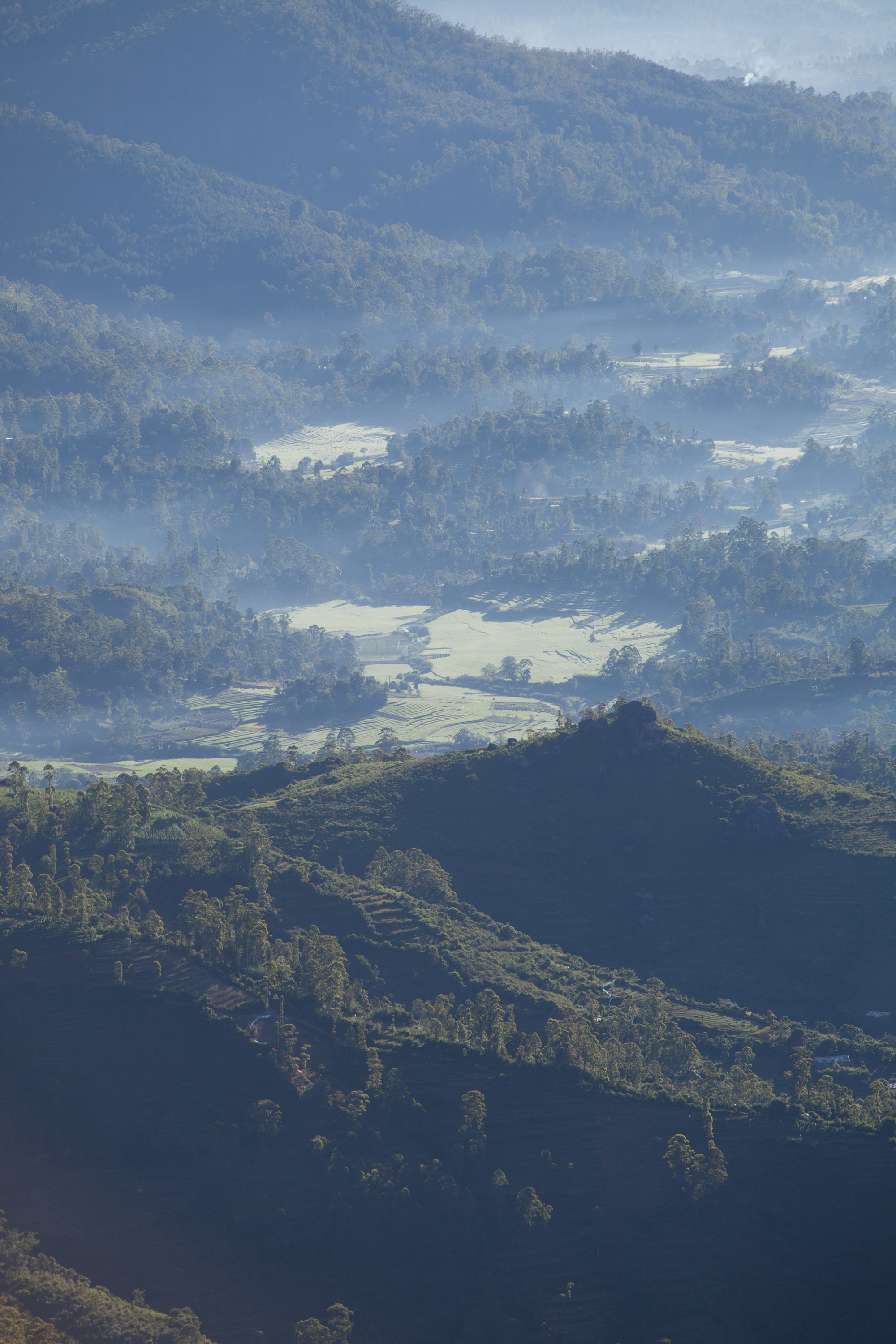 Moon Plains | Attractions in Nuwara Eliya, Sri Lanka
