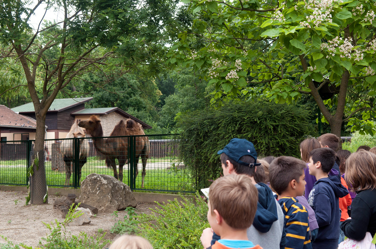 Maksimir Park & Zoo | Attractions in Zagreb, Croatia