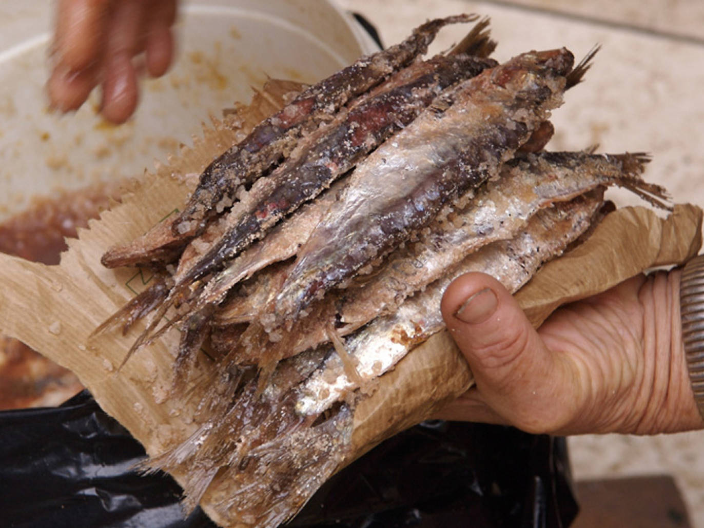 Things to do in Croatia: Sightseeing, Attractions, Festivals ...