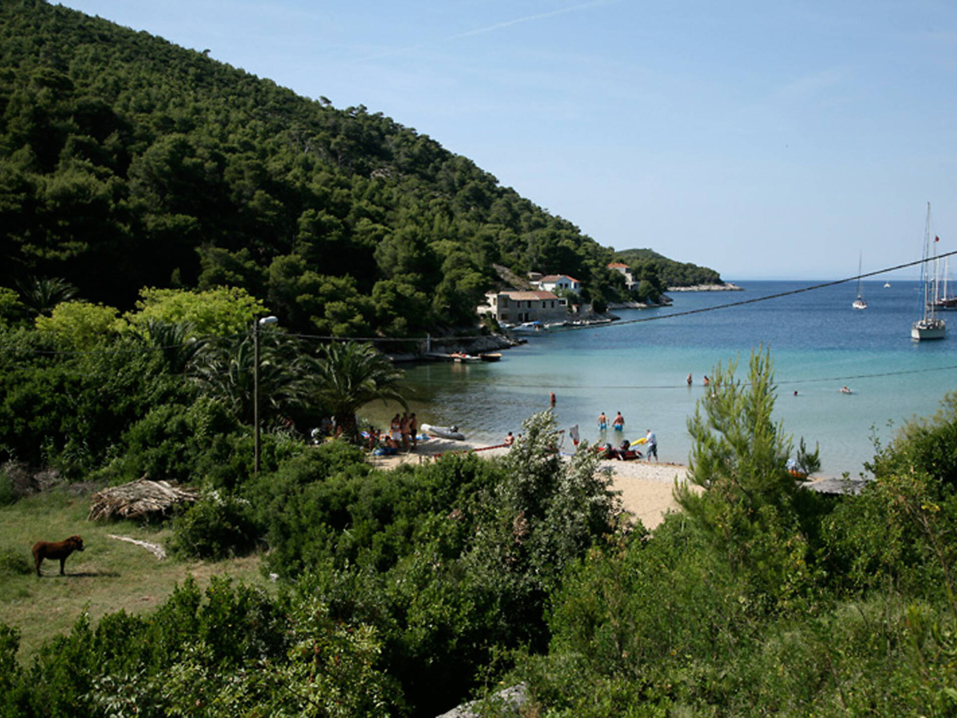 The best Vis beaches, and where to get a tan on the bays, coves and ...