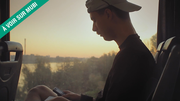 Zivan Makes a Punk Festival | Critique du film