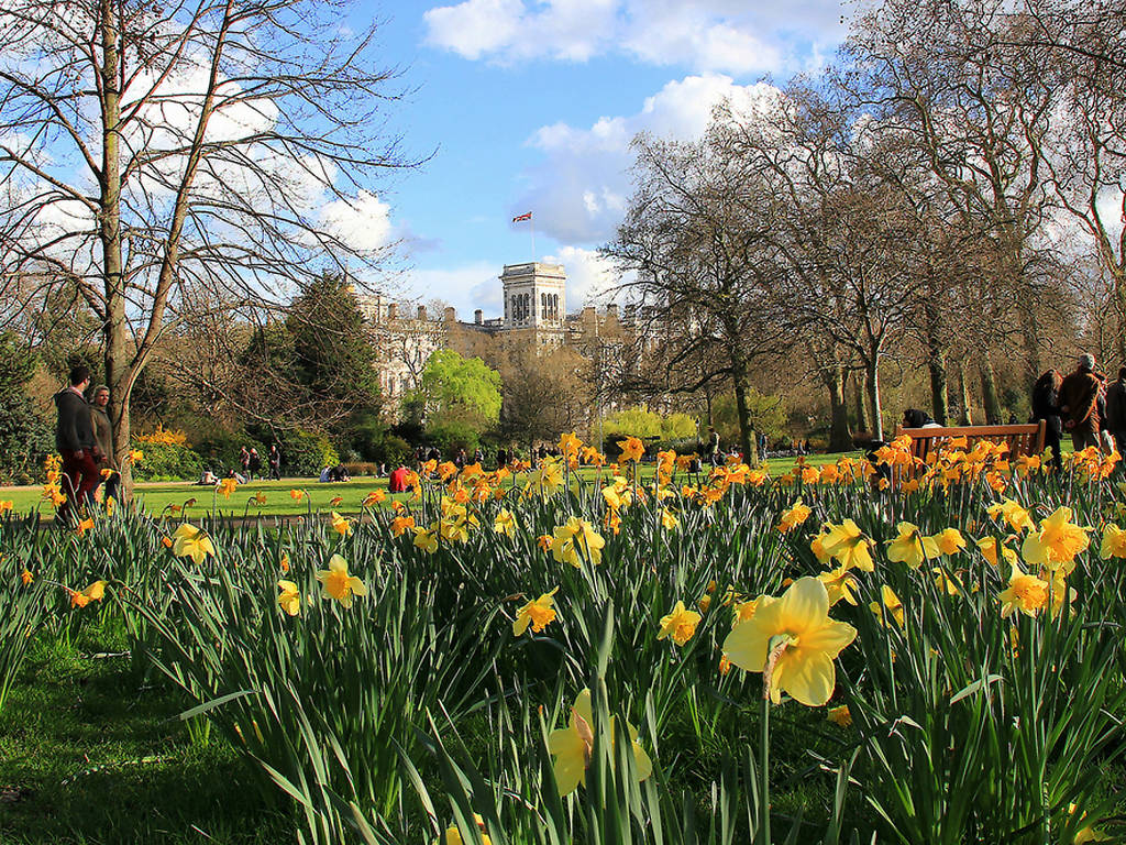 24 brilliant pictures of sunny London
