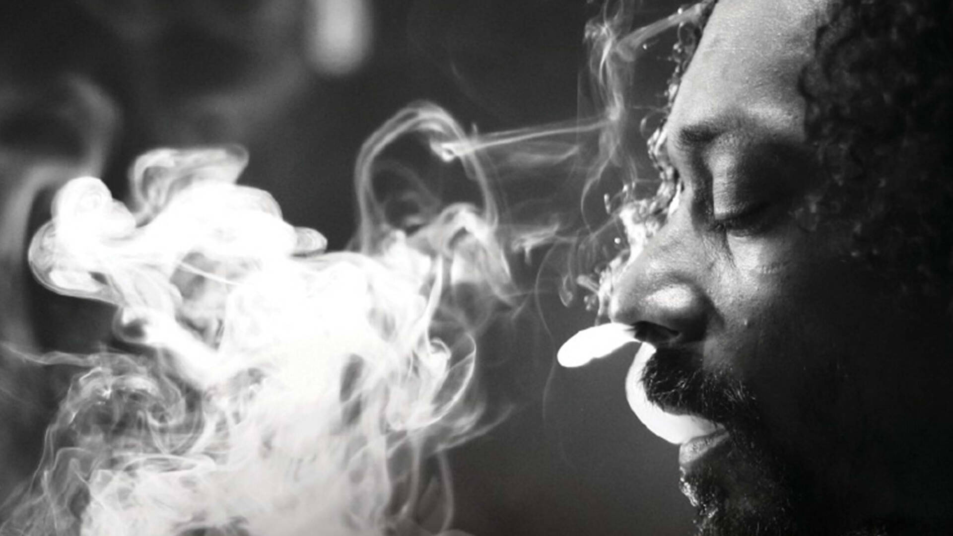 The best weed songs – Stoner songs – Songs about smoking weed – Time ...