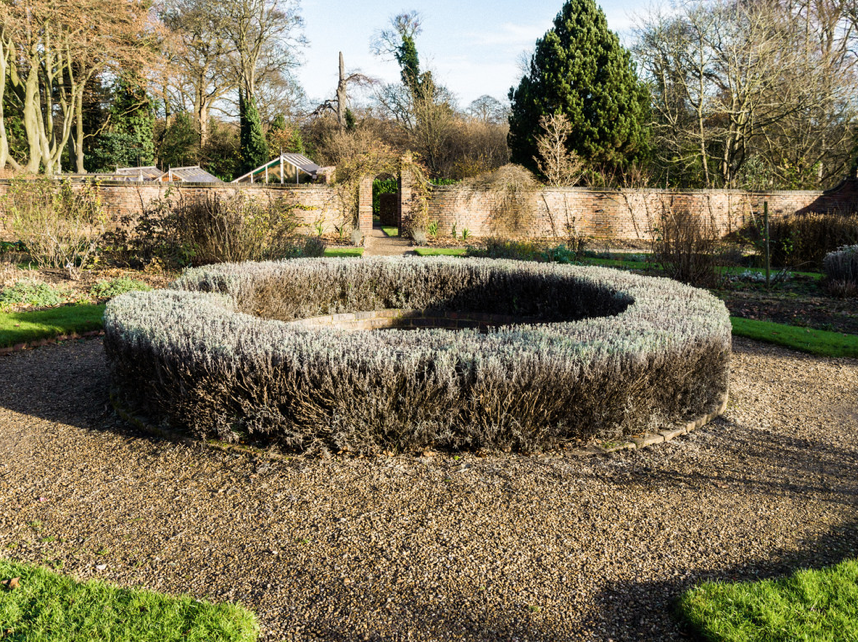 Photo gallery: Botanical Gardens | Time Out Birmingham