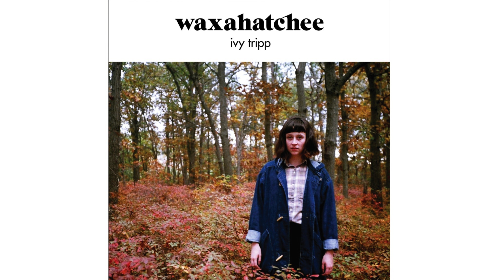 Waxahatchee – ‘Ivy Tripp’ album review