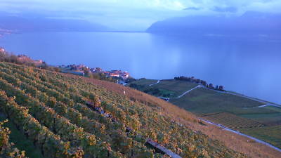 Le Deck | Bars and pubs in Lavaux-Oron, Switzerland