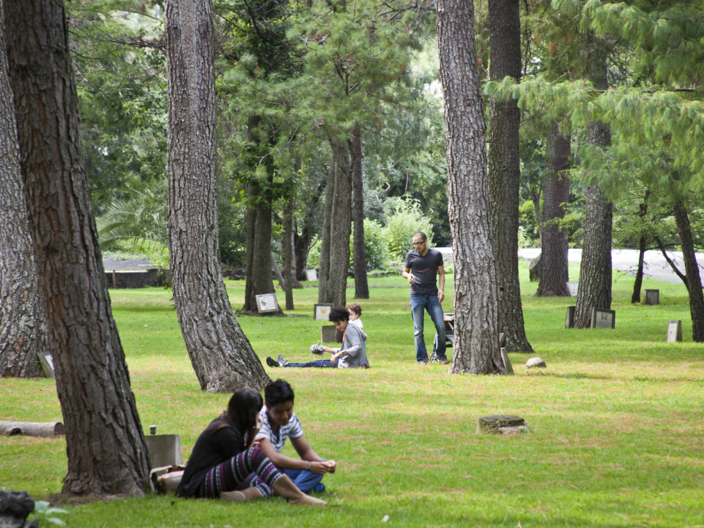 The best things to do in University City Campus of UNAM