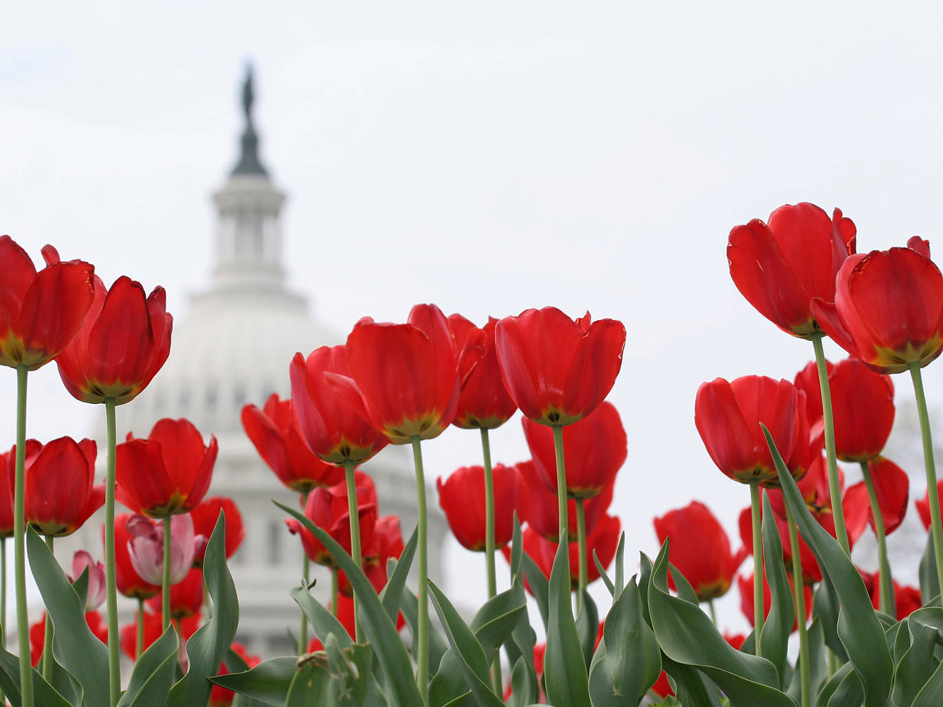 Things to do in and around Washington DC | Time Out Washington DC