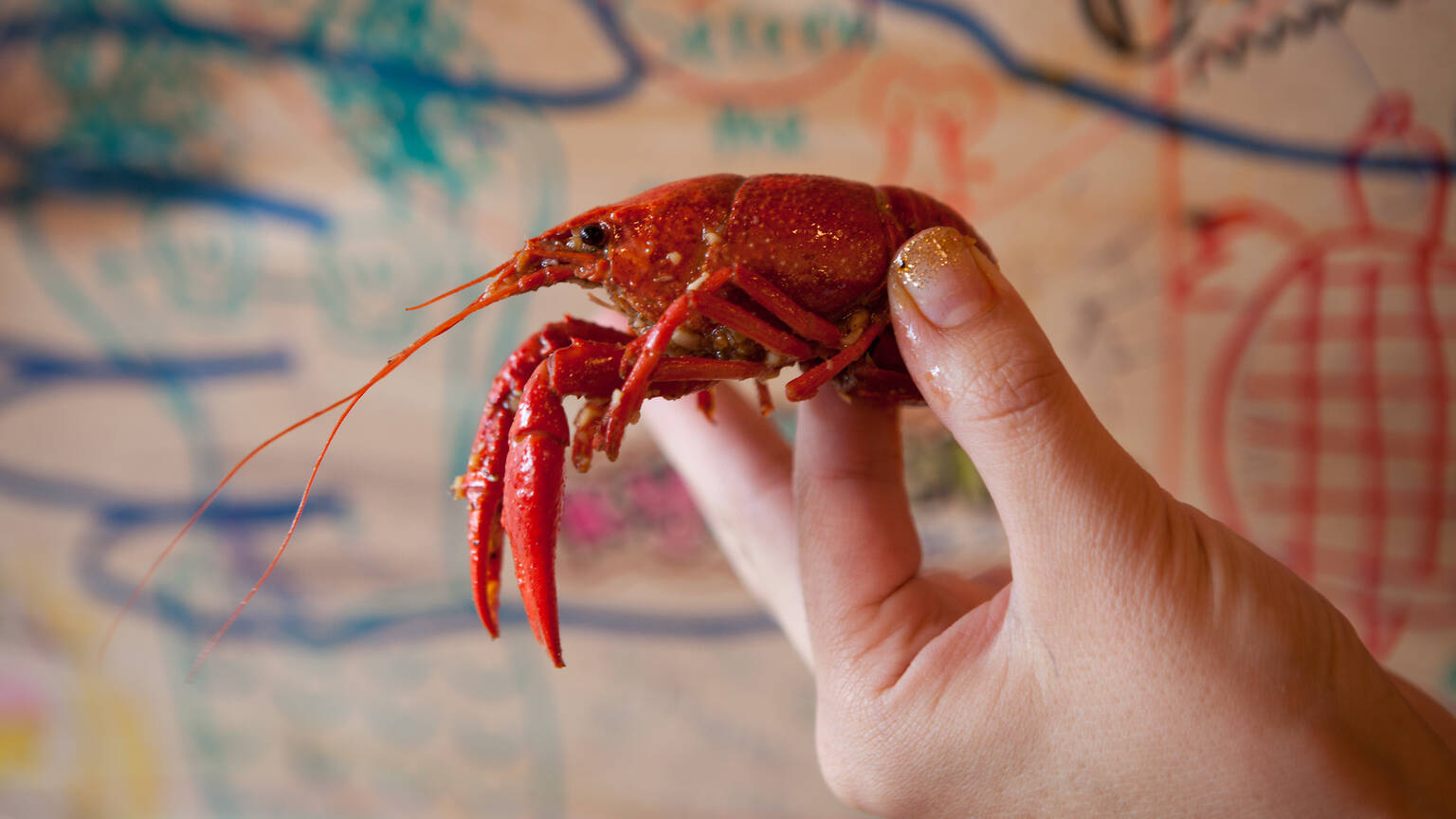 The Angry Crab | Restaurants in West Ridge, Chicago