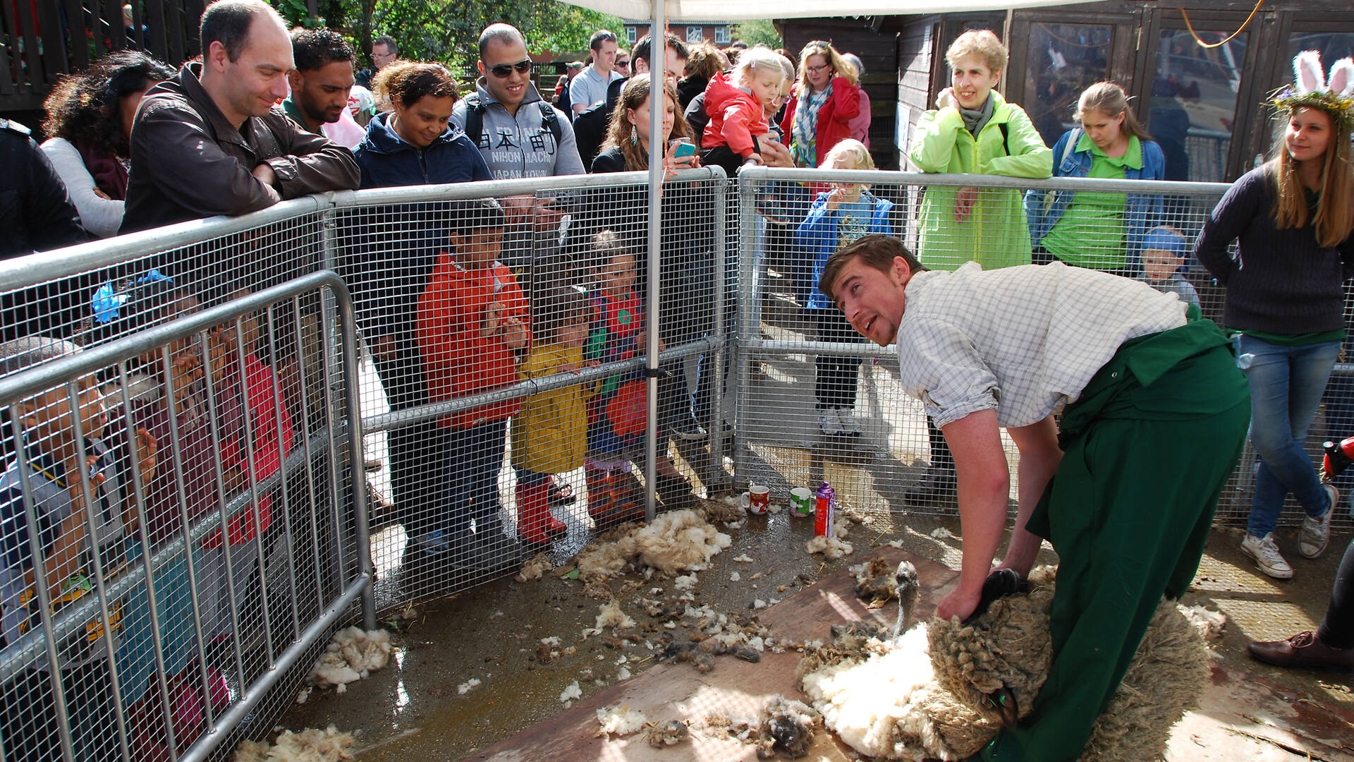 Best City Farms In London For Spotting Super Cute Animals