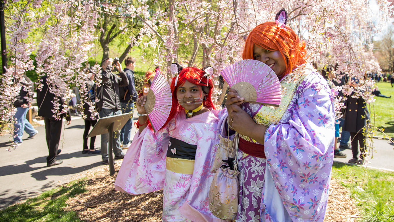 Photos from the 2015 Sakura Matsuri Cherry Blossom Festival in NYC