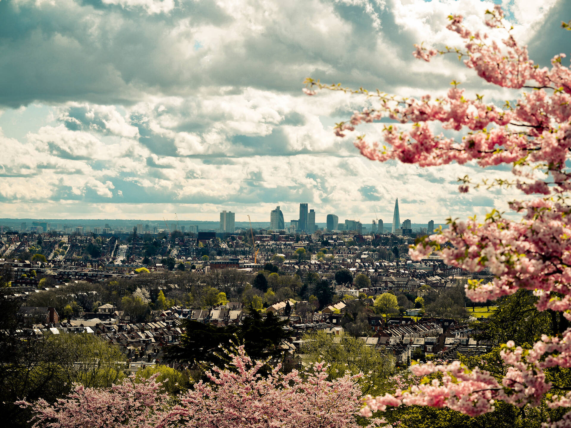 21 photos of flowers blooming all over London