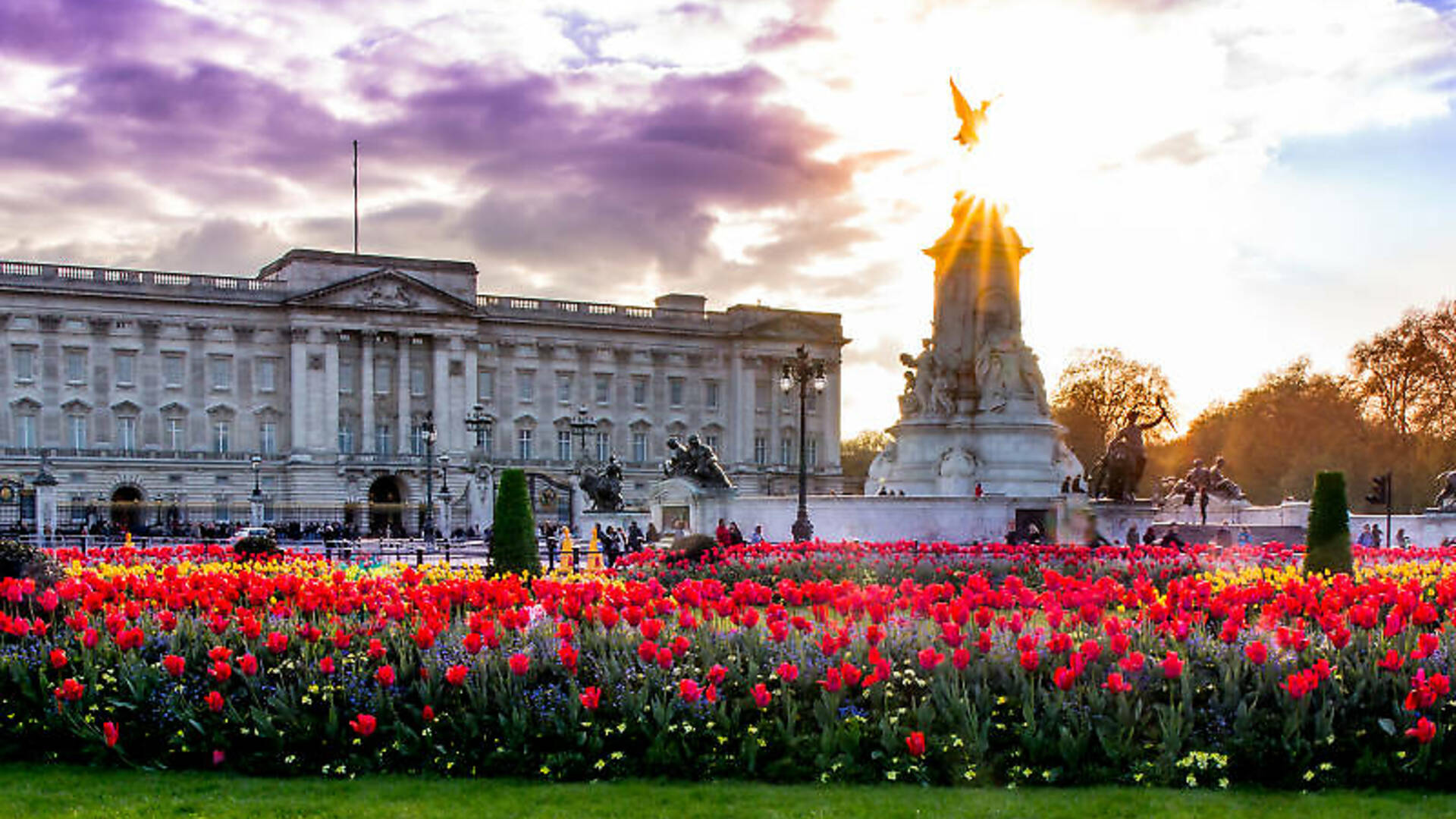 21 photos of flowers blooming all over London