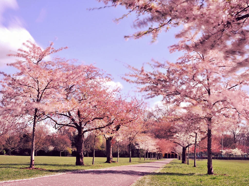 17 Best Parks and Grand Green Spaces in London | London's Major Parks