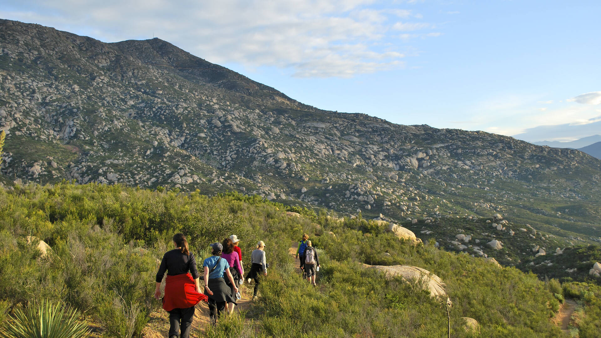 5 Summer Camps for Adults in California