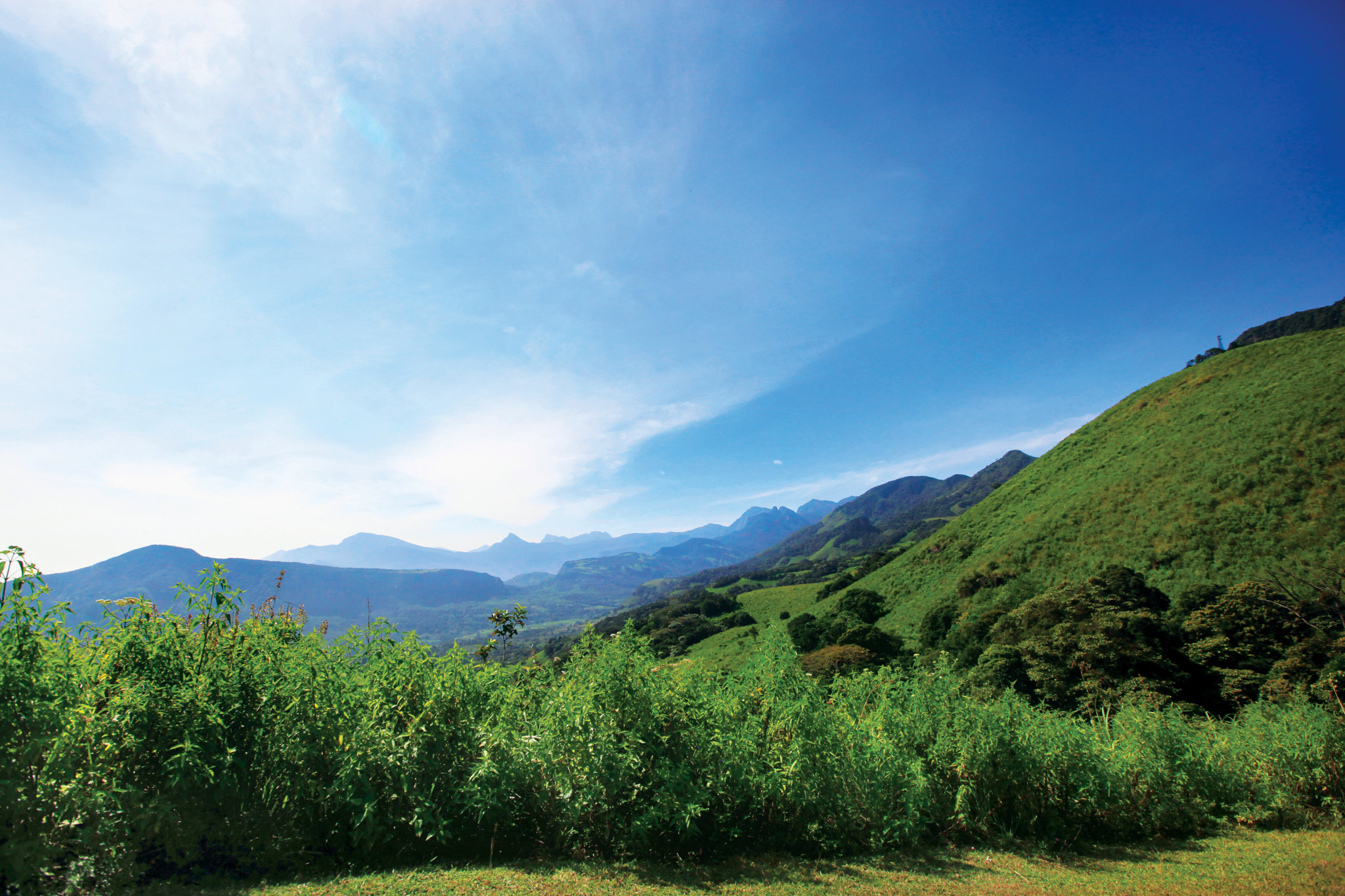 Knuckles Forest Reserve | Attractions in Matale, Sri Lanka