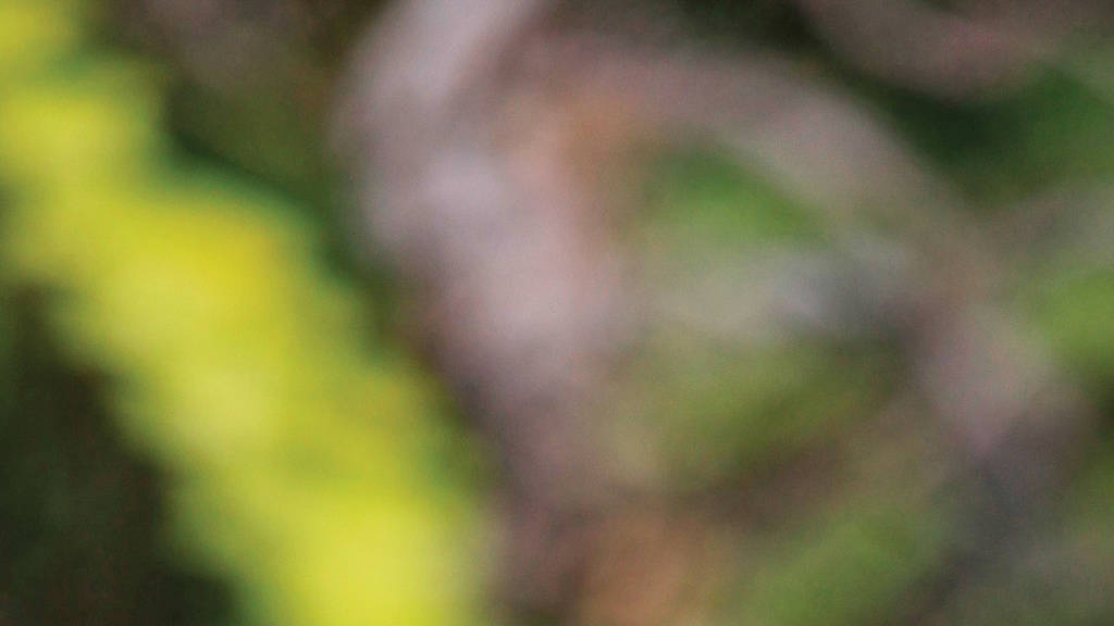 Knuckles Forest Reserve | Attractions in Matale, Sri Lanka